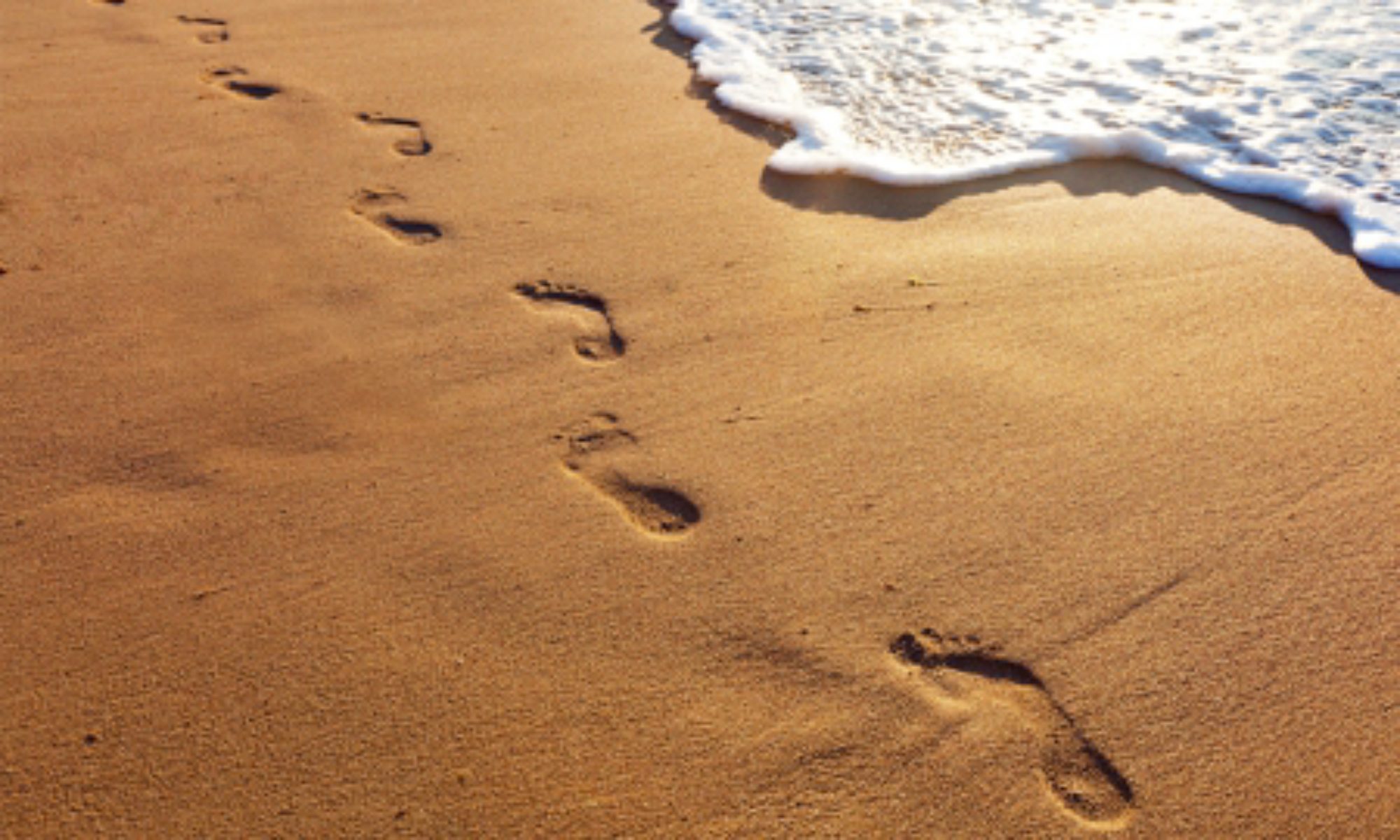 Speaker - The StepForward Recovery Practice